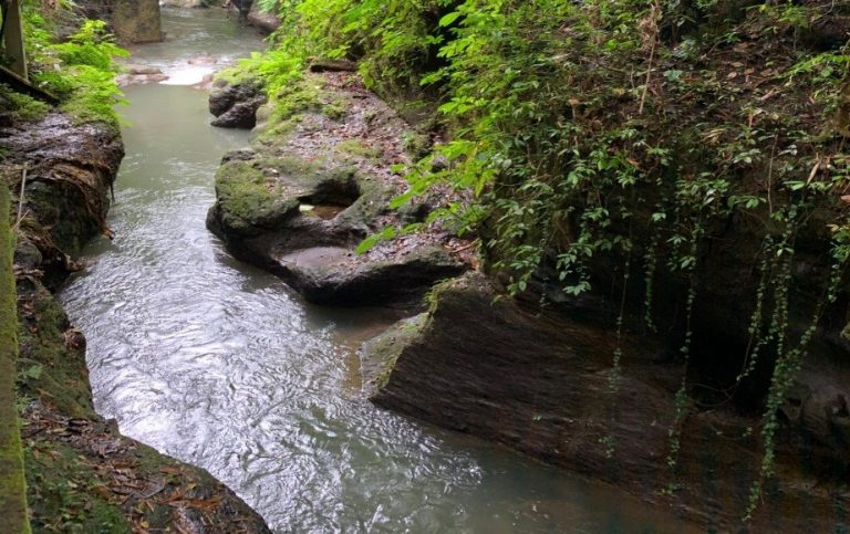 Buda Kliwon Sinta di Gunung Lebah Ubud – tatkala.co