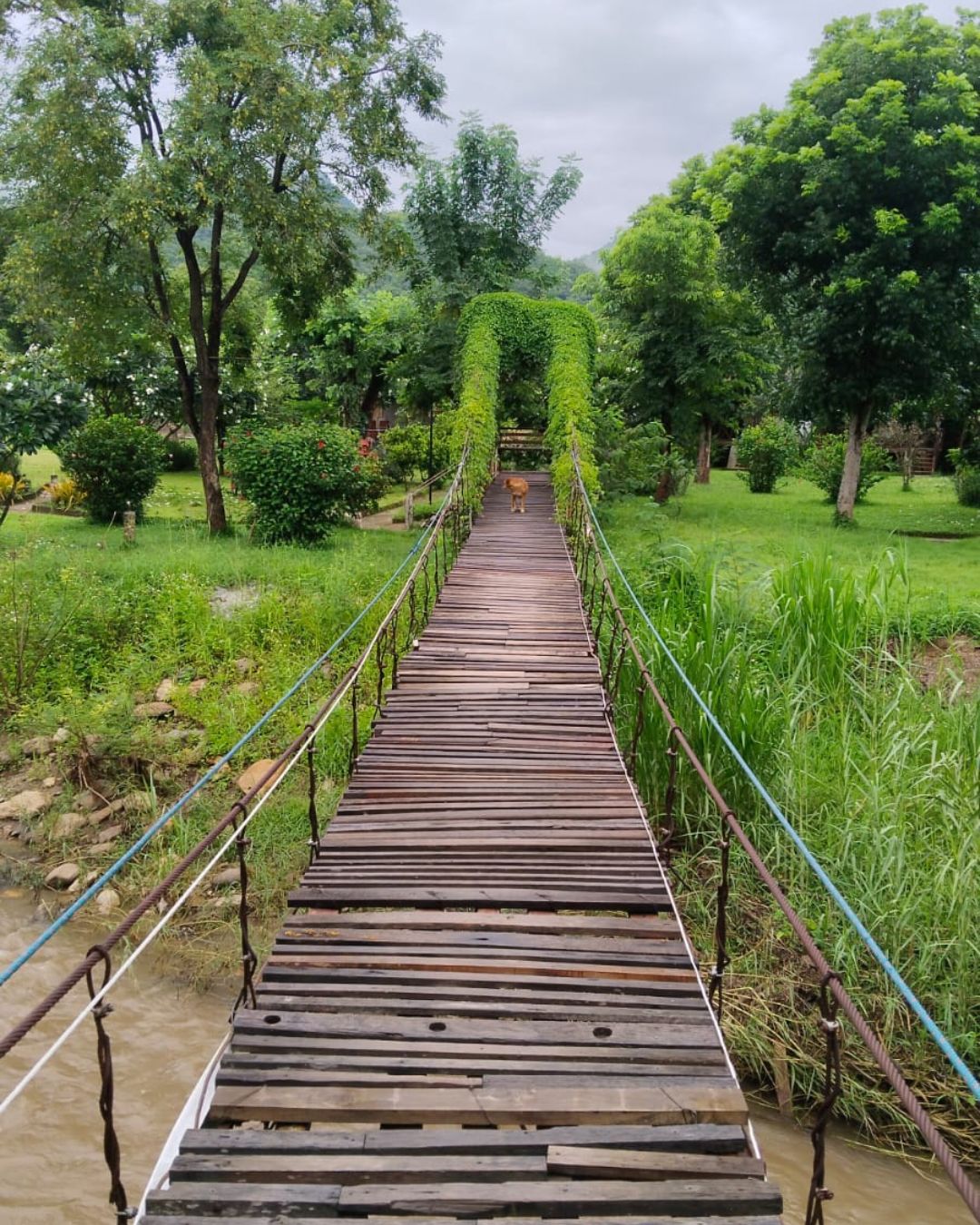 Jalan-Jalan Pagi di Desa Pai, Thailand: Gambaran Nyata Desa Wisata ...