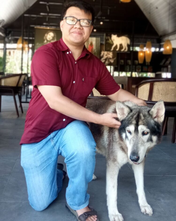 Mengamati Wolfdog di Alpha Wolf Lodge Nuanu – tatkala.co